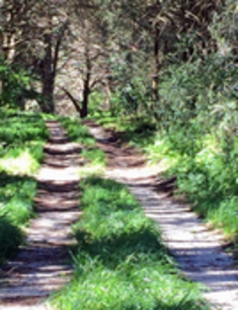 Larry Keith Byrd Obituary - 2024 - Loflin Funeral Home and Cremation ...