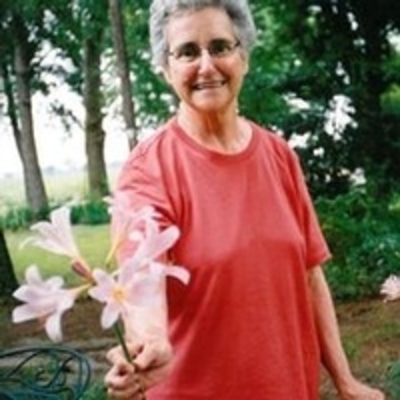 Shelda Dixon Obituary - 2016 - Cobb Funeral Home