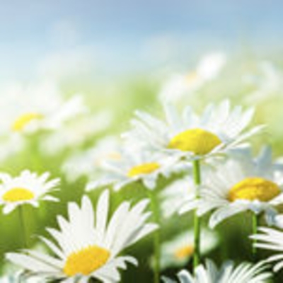 John Barcroft Obituary - 2010 - St. Pierre Family