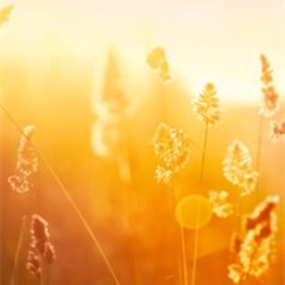 Richard Lee Zaring Obituary - 2017 - Voss Funeral and Cremation Services