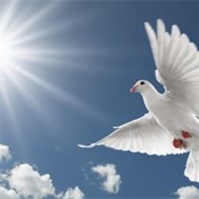 Sue Ann Cody Obituary - 2021 - Voss Funeral and Cremation Services