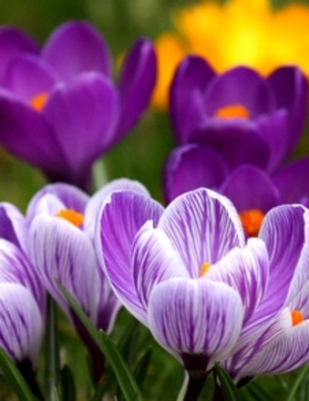 McMillan-Satterwhite Funeral Home | Graham, TX Funeral Ho...