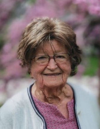Lucie Heise Obituary - 2024 - Church & Chapel Funeral Services and ...