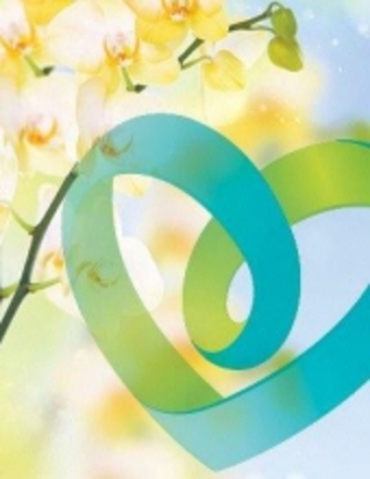 Brandon Michael Spurlock Obituary - 2024 - Cremation Society of Oklahoma