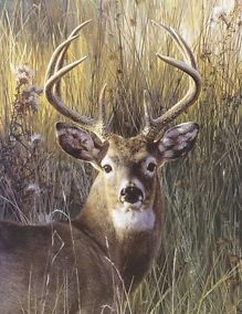 Richard "Dick" L. Franssen, MD - 2018 - Apfel Funeral Home