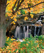 Dennis Joe Gower - 2015 - Paul Thomas Funeral Home