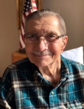 Frank Hodapp - Memories Trees