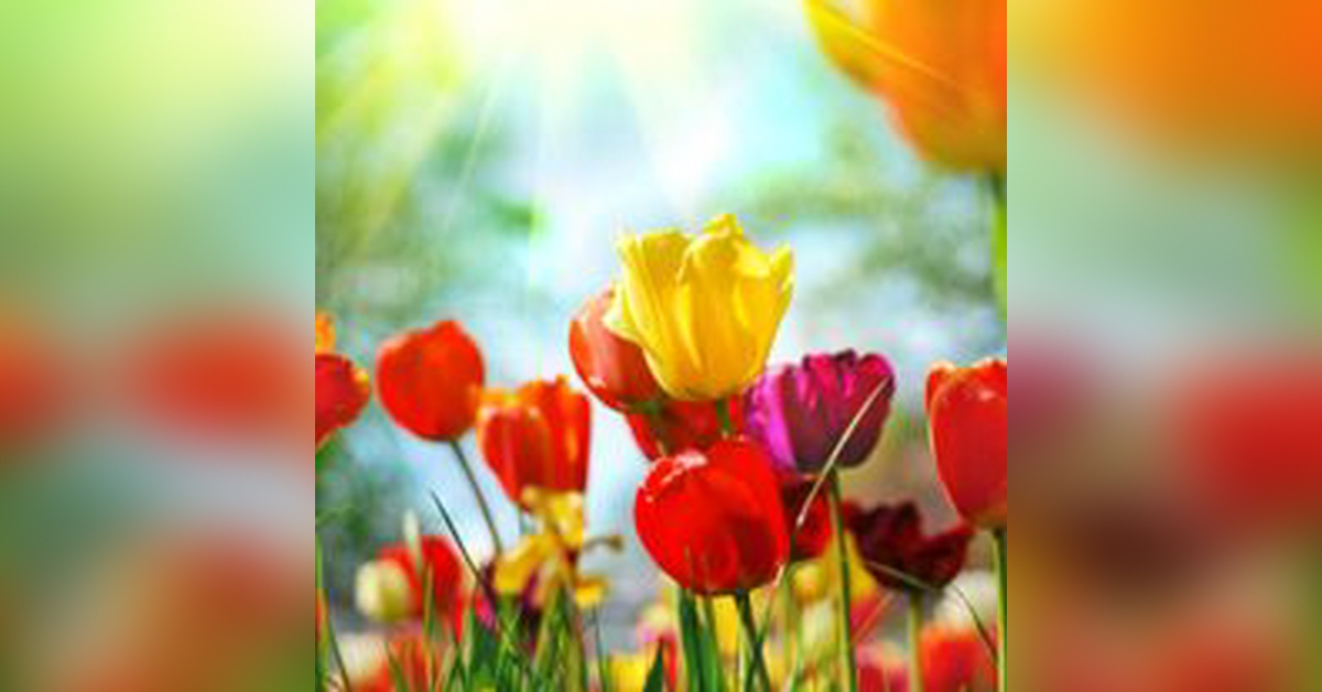 Obituary information for Jeanne Marie Bushnell