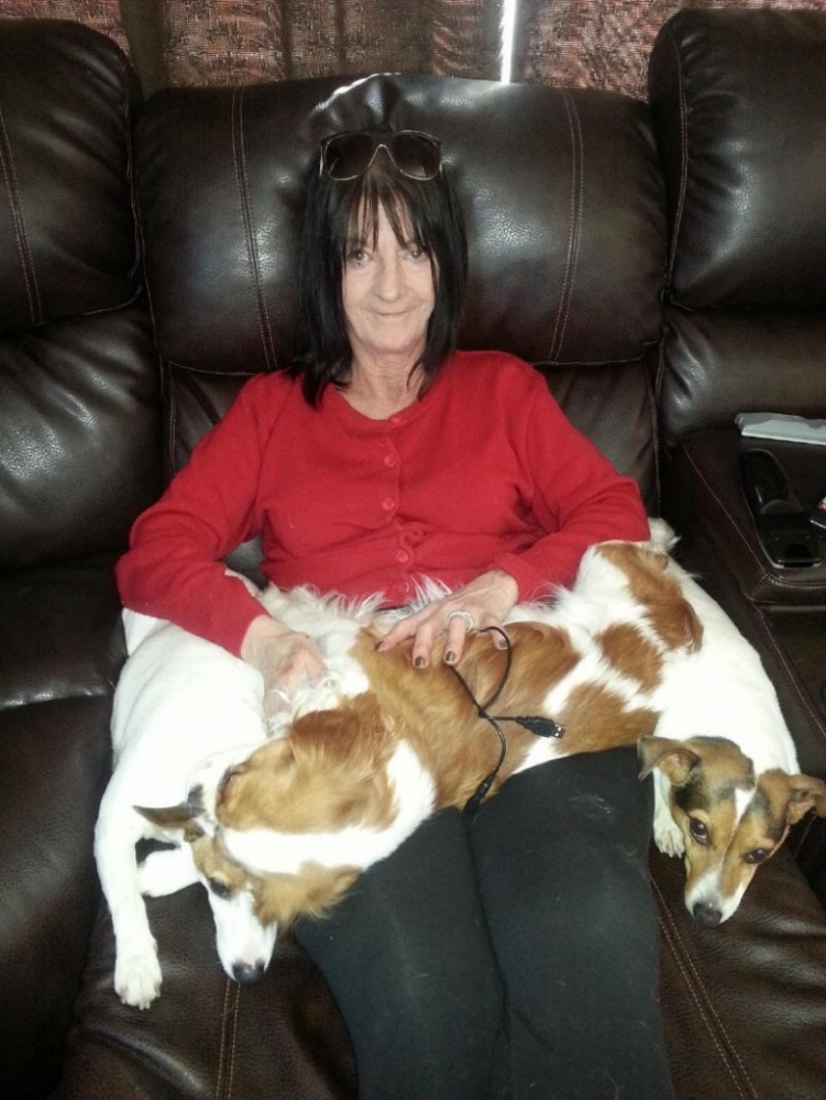 Barbara Ann Ferstand - 2019 - Cremation Society of Illinois