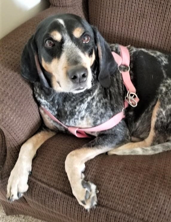 Isabella Love - 2019 - prvereb@aol.com