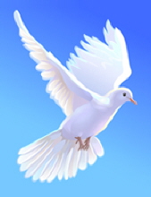 Sandra Jeanette Mullis Obituary - 2012 - Palmetto