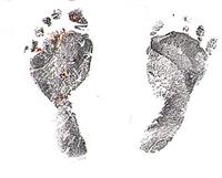 Jamie Lynn Williams - 2014 - Aubertine-Lopes Funeral Home