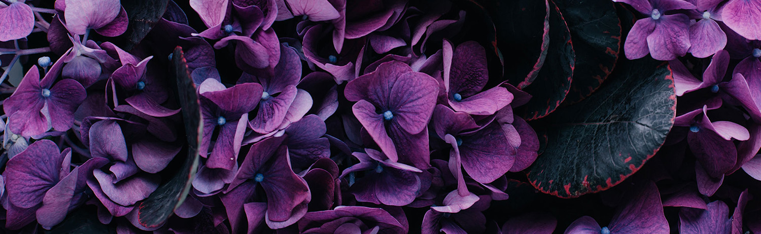 Reflections Funeral Services | Anaheim, CA Funeral Home