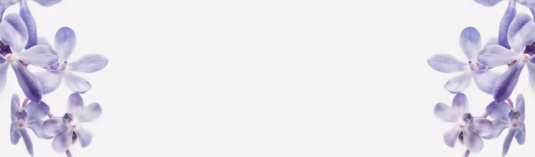 Simple Choice Cremation | Windsor, London & Essex County