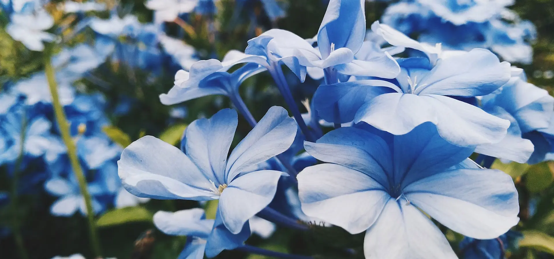 Miller-Macari Family Funeral Home | Seymour, CT