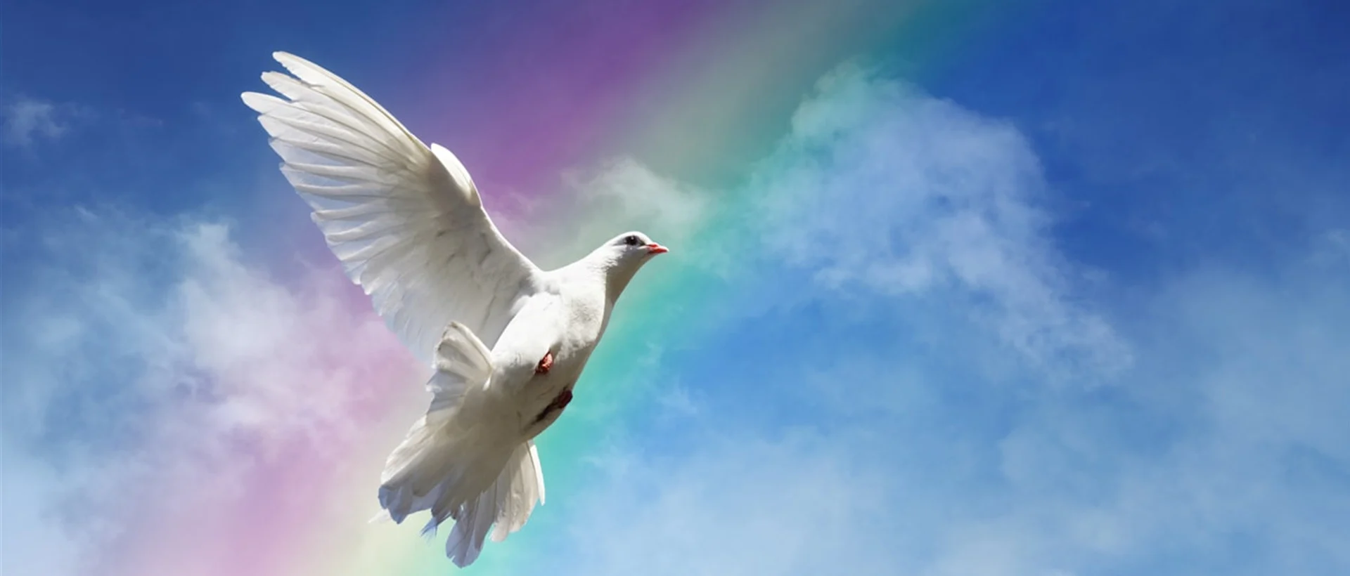 Miller-Macari Family Funeral Home | Seymour, CT