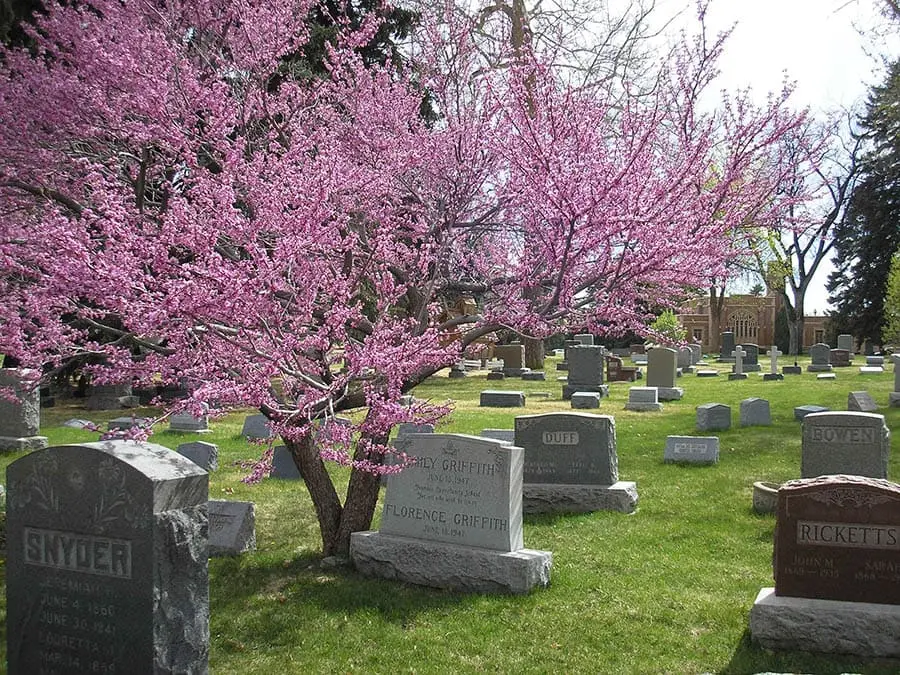 Fairmount Cemetery: A Place of Serenity in Denver Community