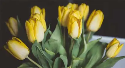 Welcome to Tuttle Funeral Home located in Randolph, NJ