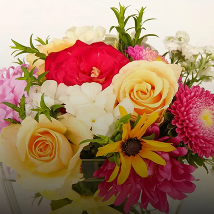 Haley McGinnis Funeral Home & Crematory