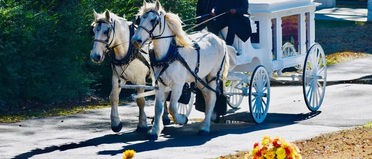 Cook Brothers Funeral Directors and Cremations | GA