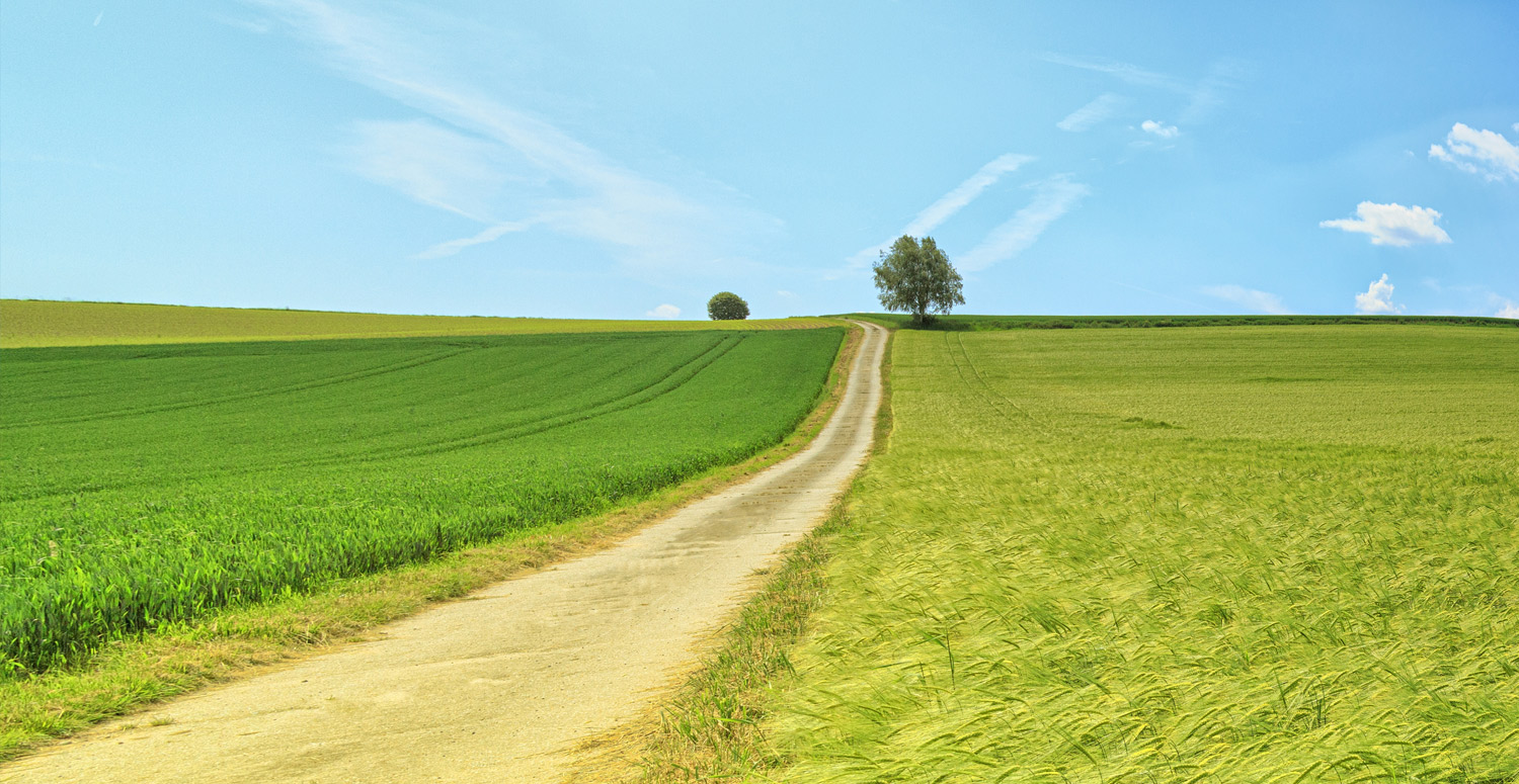 Tracy Memorial Chapel - Funeral Services in Tracy, CA