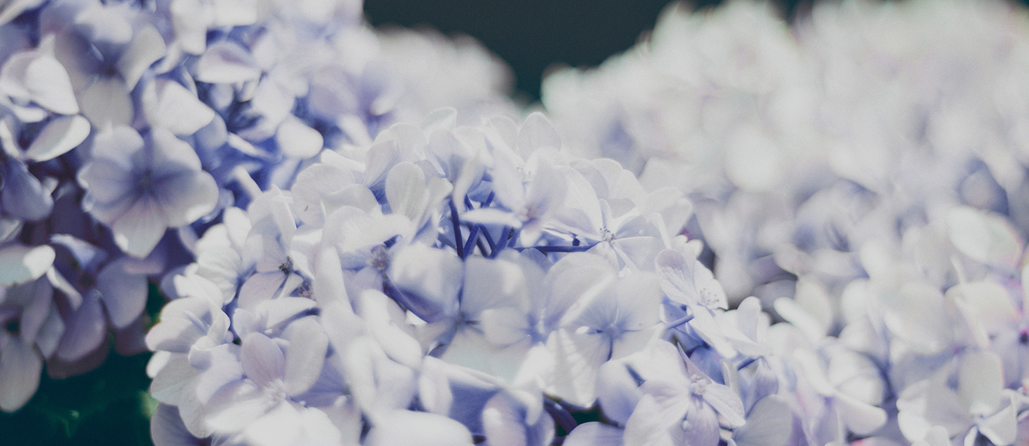 Wentz Funeral Home | Coatesville, PA