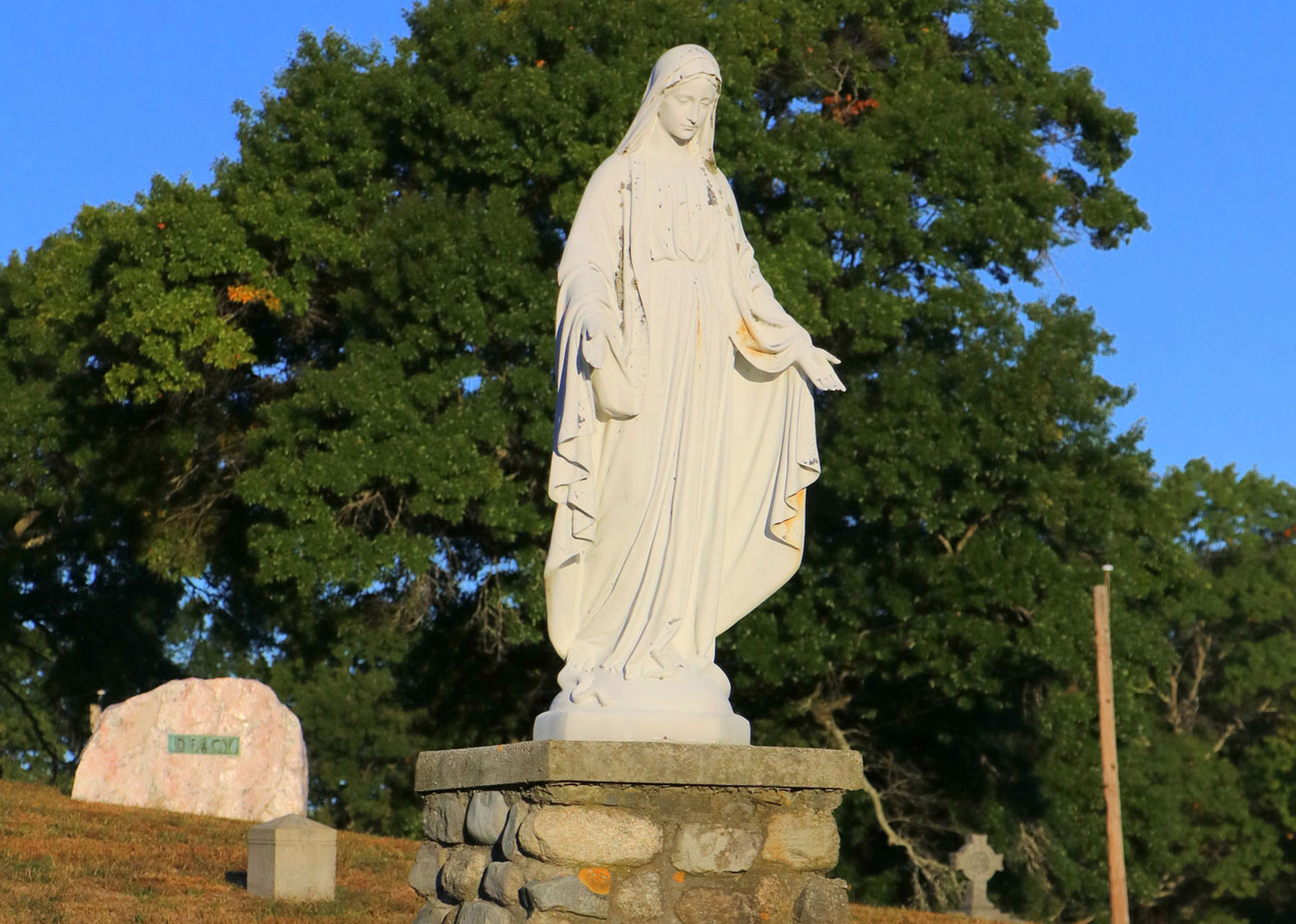 Gallery | Saint Mary's Cemetery