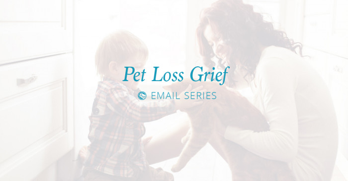 Support Groups - Rose Pet Memorial Center