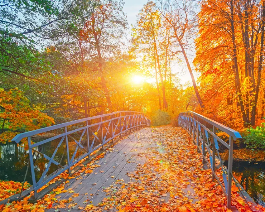 Kearns Funeral Home | Whitehouse, NJ