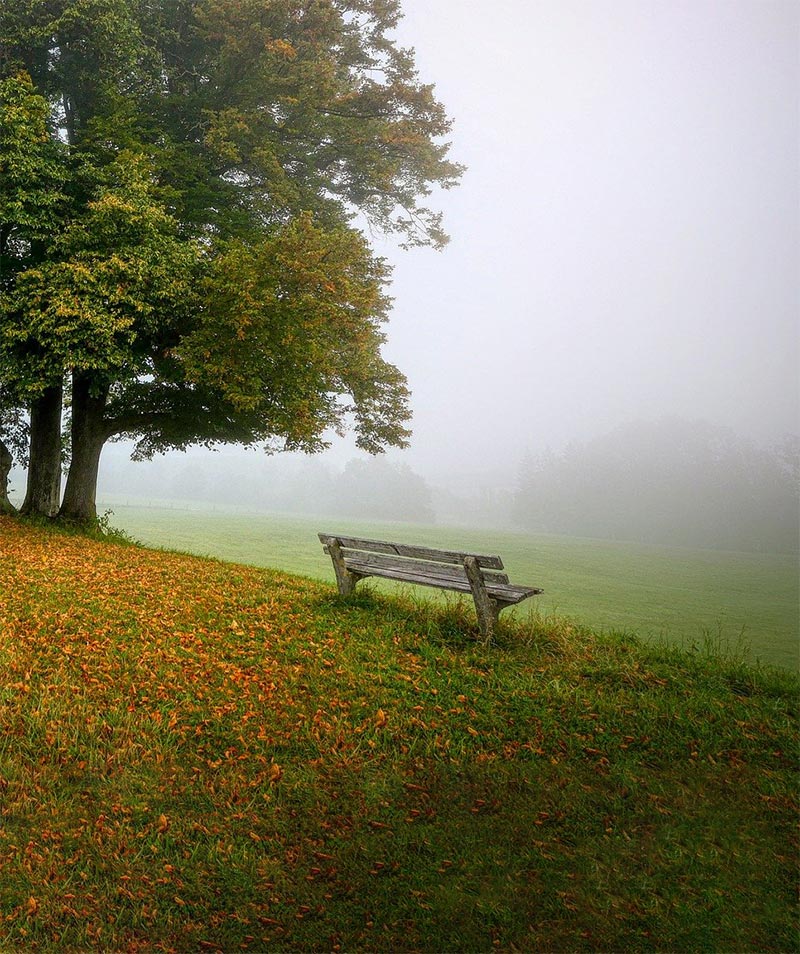 Driscoll's Valencia Street Serra Mortuary | San Francisco...