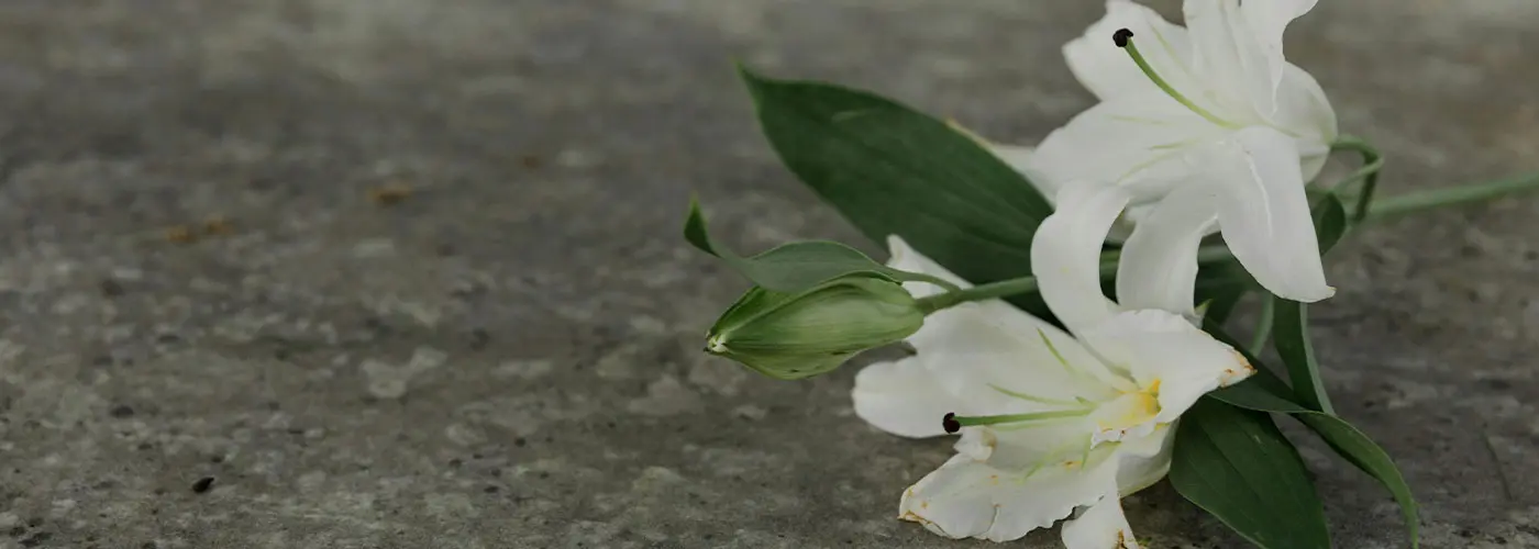 Aaron Cremation & Burial Services