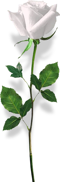 Garefino Funeral Home | Lambertville, NJ