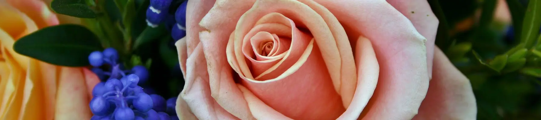 Fuller Metz Cremation & Funeral Services | Cape Coral, FL