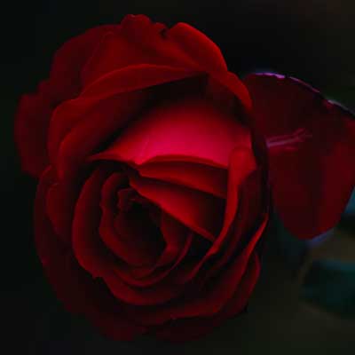 Dillard Funeral Home | Troy, AL Funeral Home & Cremation