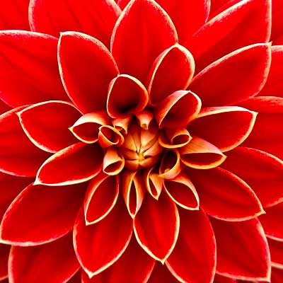 Dillard Funeral Home | Troy, AL Funeral Home & Cremation