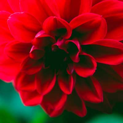 Dillard Funeral Home | Troy, AL Funeral Home & Cremation